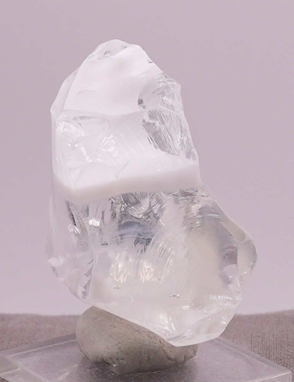 Rare Gem Bicolor Banded Angel Aura Cosmic Ice/Pastel Ice with bubble ...