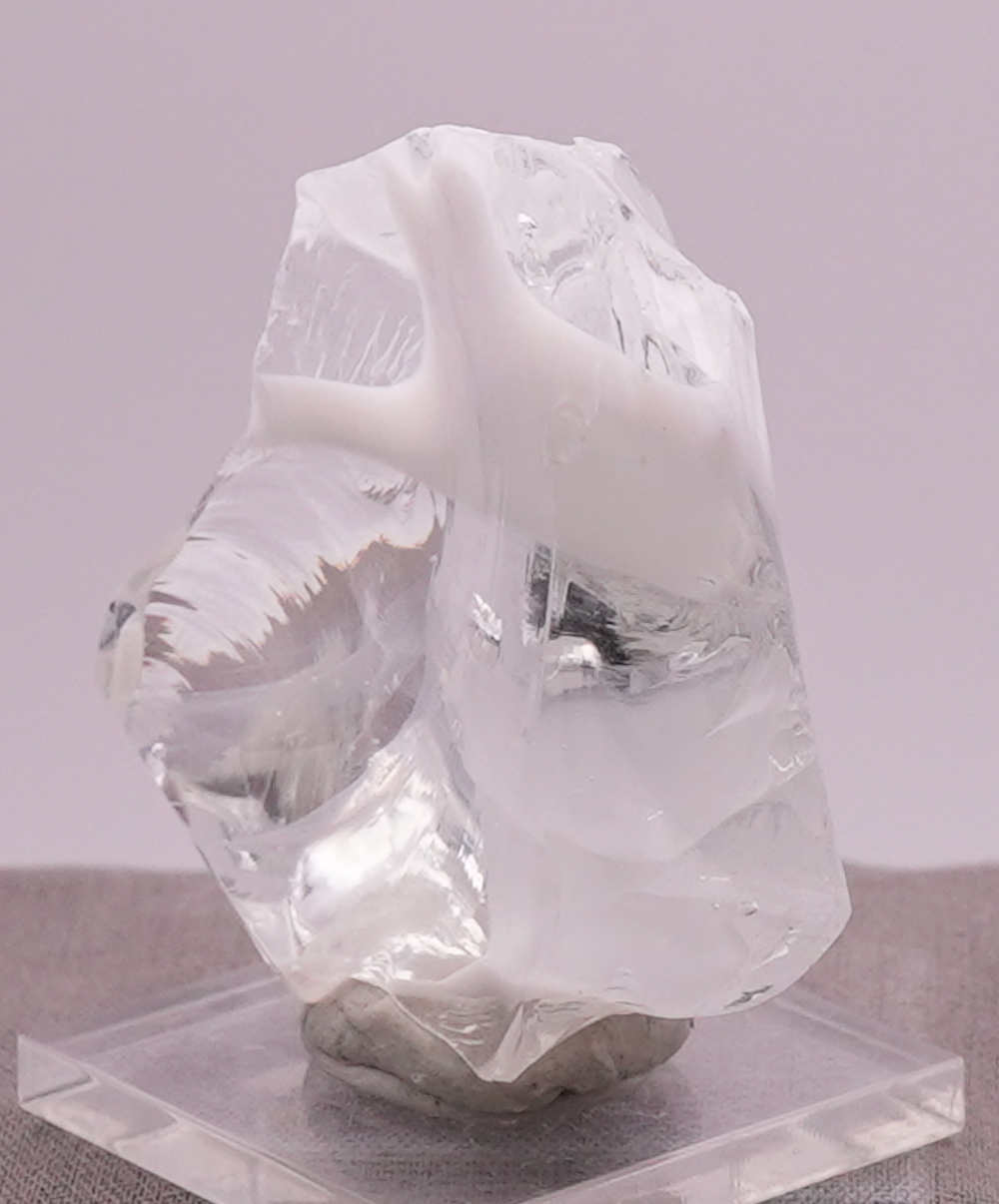 Rare Gem Bicolor Banded Angel Aura Cosmic Ice/Pastel Ice with bubble ...