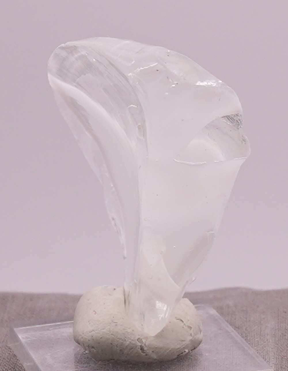 Rare Gem Bicolor Banded Angel Aura Cosmic Ice/Pastel Ice with bubble ...